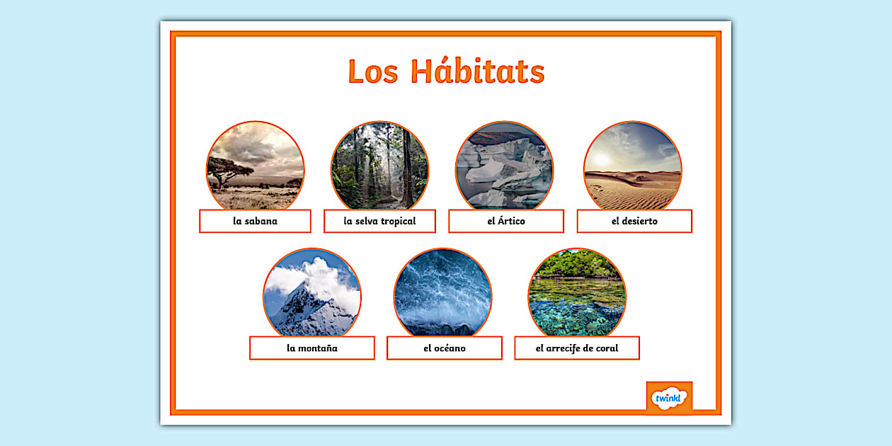 👉 Habitats in Spanish Display Poster - Twinkl