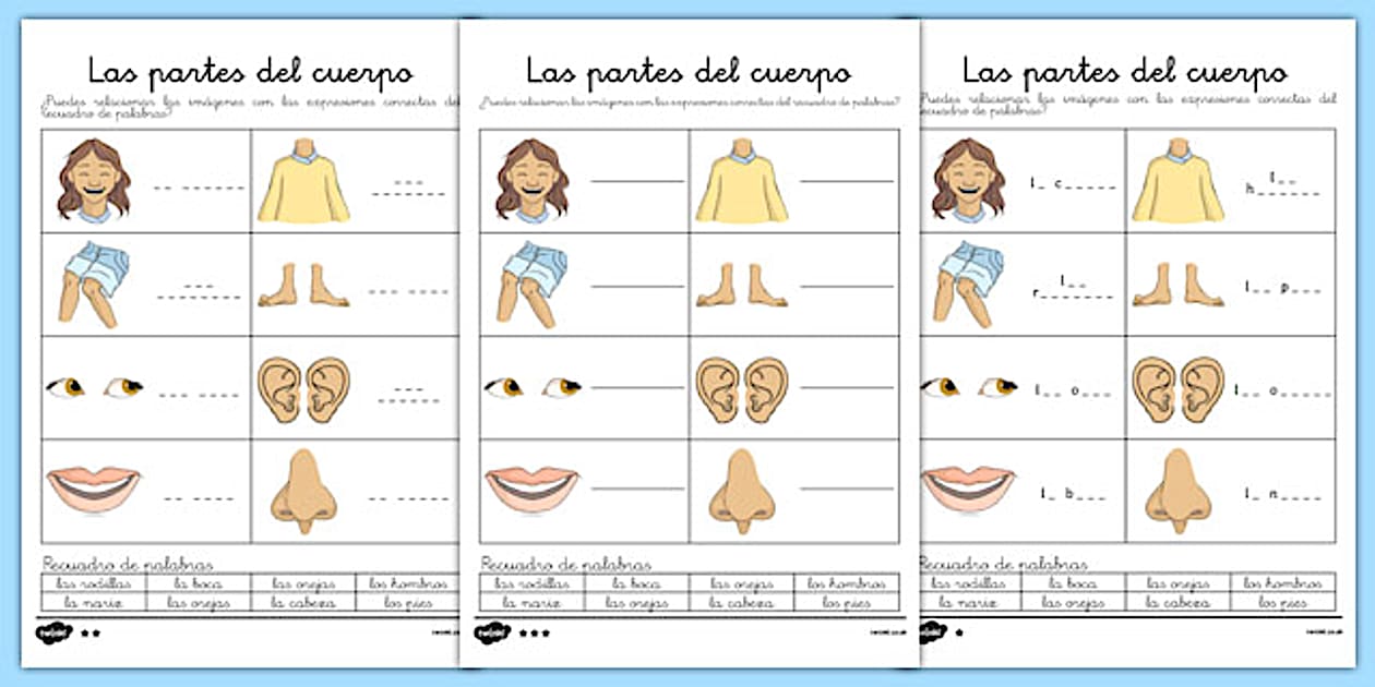Ficha de actividad - las partes del cuerpo - Twinkl
