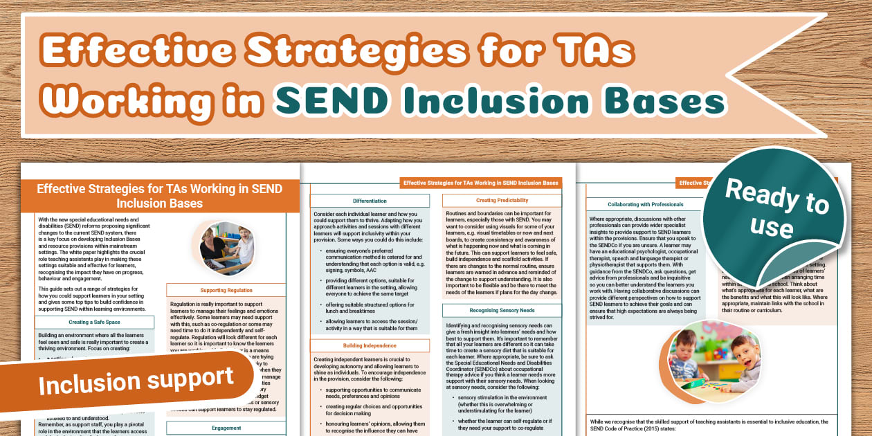 SEND Reforms: Strategies for TAs Working in Inclusion Bases