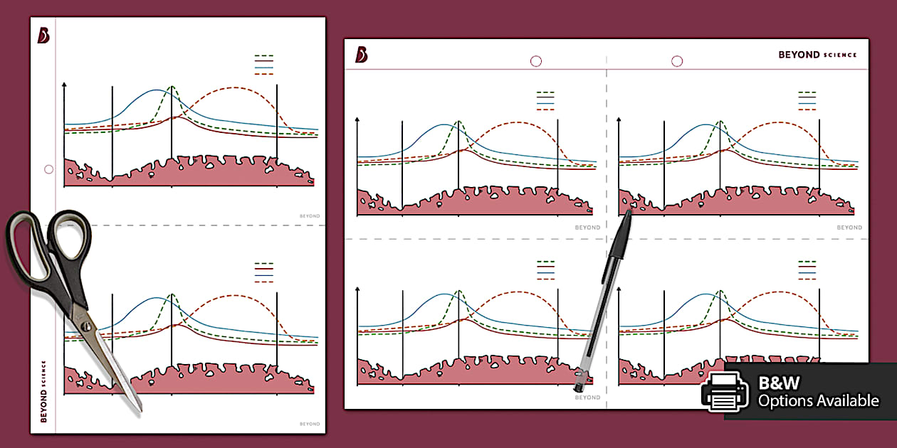 Hormones in the Menstrual Cycle Illustration (Teacher-Made)