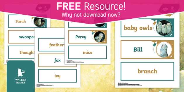 FREE Owl Babies Word Cards (teacher made) - Twinkl