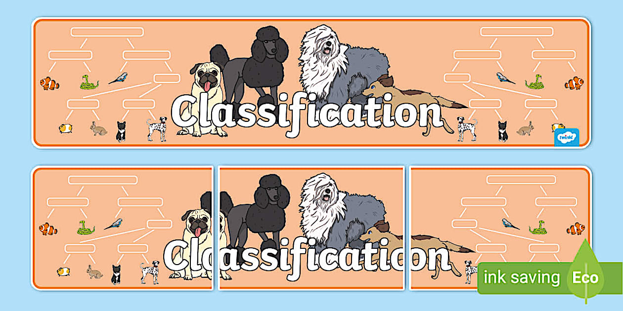 Classification Display Banner (teacher made) - Twinkl