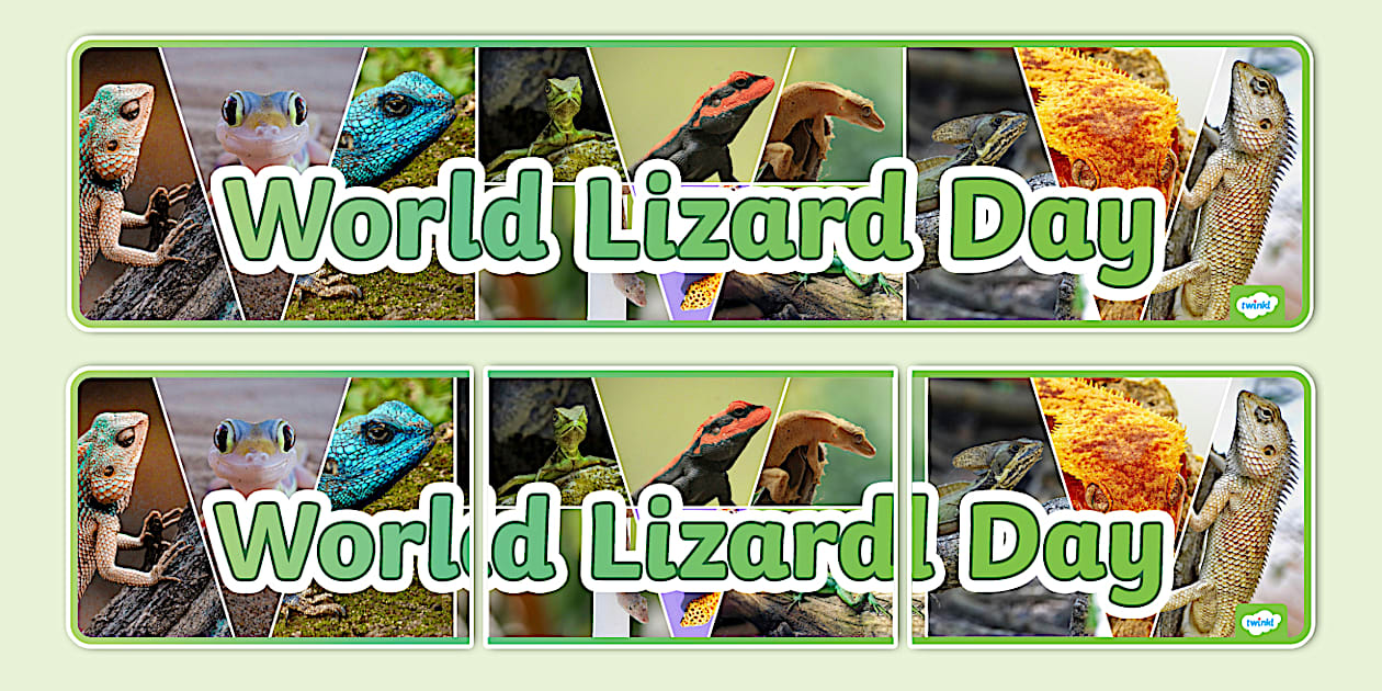 World Lizard Day Photo Display Banner (teacher made)
