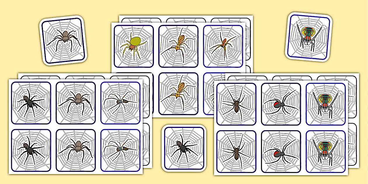 Spiders Snap Game - Twinkl Matching Game (teacher made)