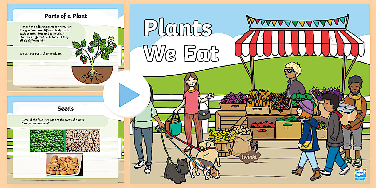 Plant Parts We Eat PowerPoint | Primary Resources - Twinkl