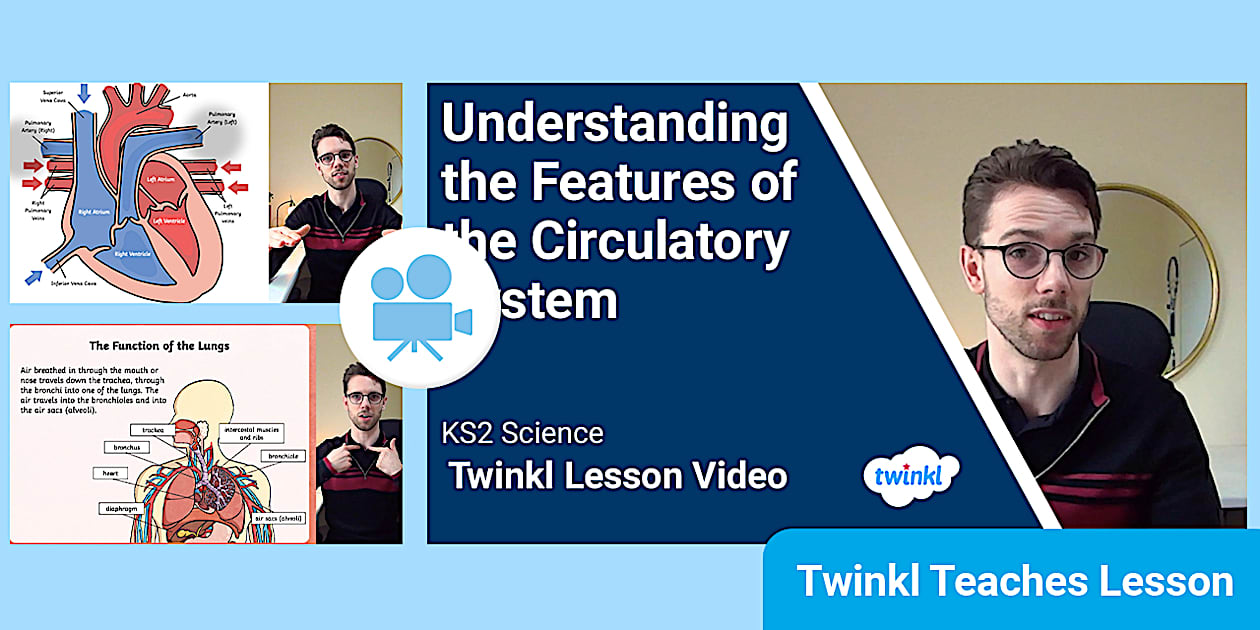 KS2 Science: The Circulatory System Video Lesson 5 - Twinkl