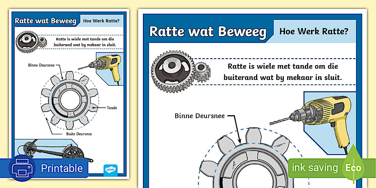 Ratte wat Beweeg Plakkaat - Hoe werk Ratte (teacher made)