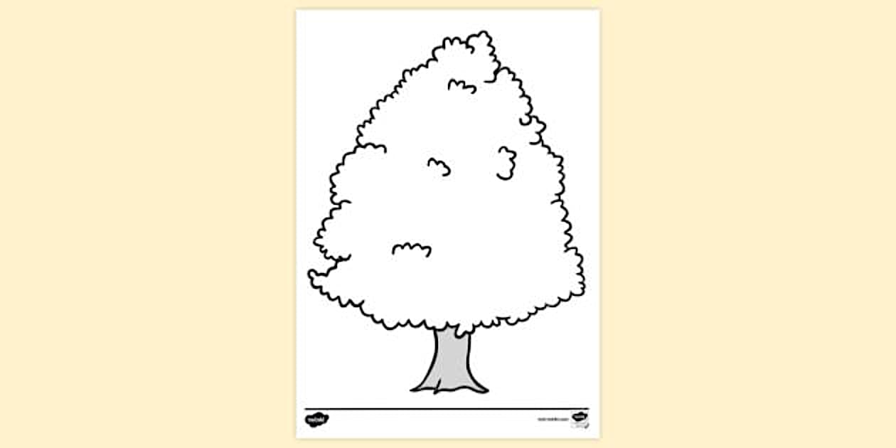 Lime Tree Colouring Sheet | Colouring Sheets (teacher made)