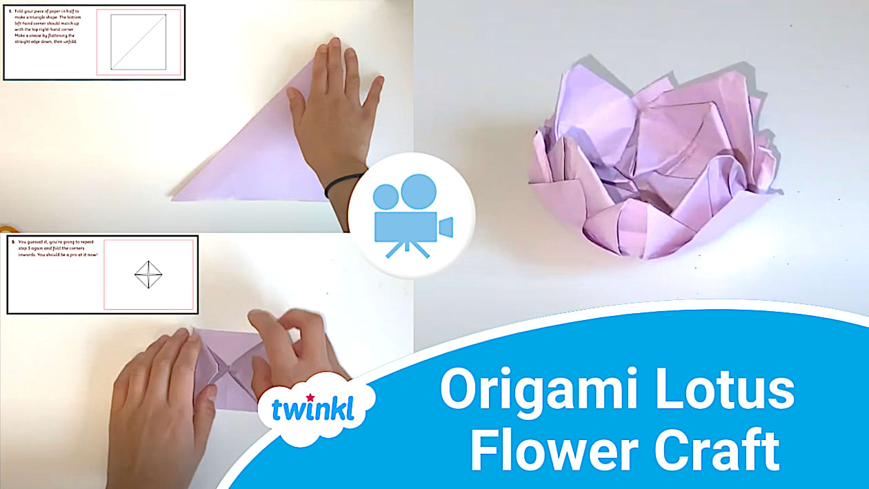 3D Origami Lotus Flower Craft Video Tutorial - Twinkl