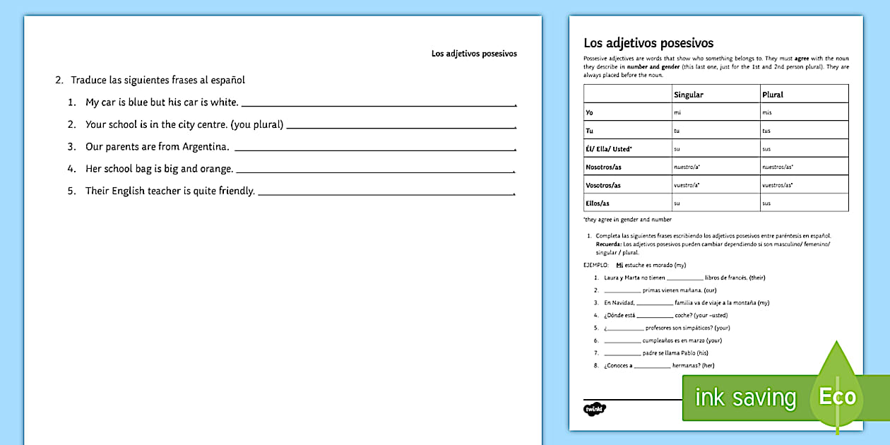 Possessive Adjectives in Spanish Worksheet / Worksheet