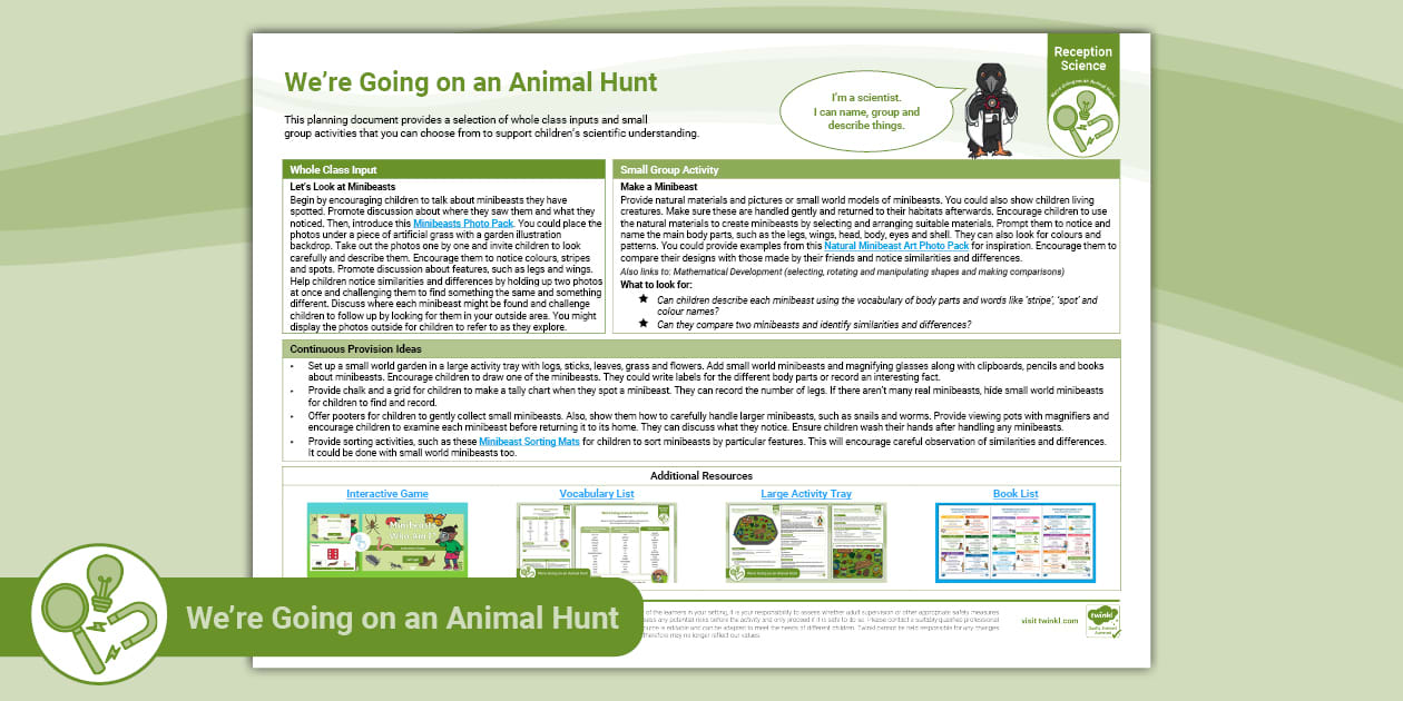 We're Going On An Animal Hunt EYFS Planning (teacher made)