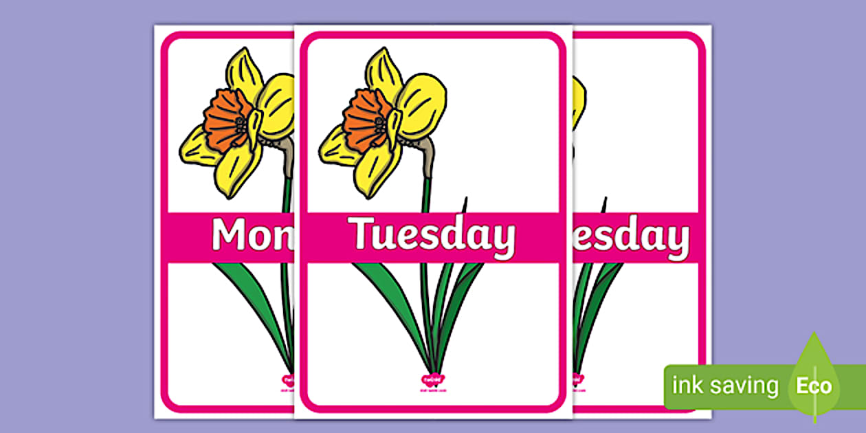 Cursive Days of the Week on Daffodils (teacher made)