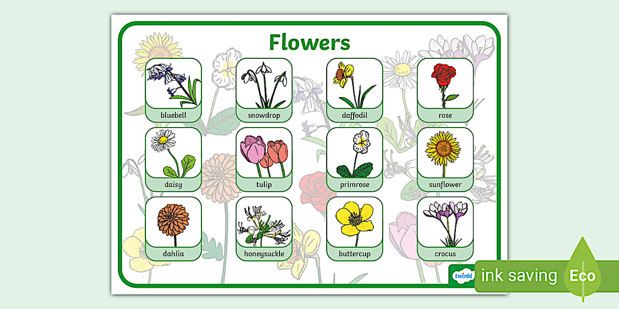 Flowers Word Mat (Teacher-Made) - Twinkl