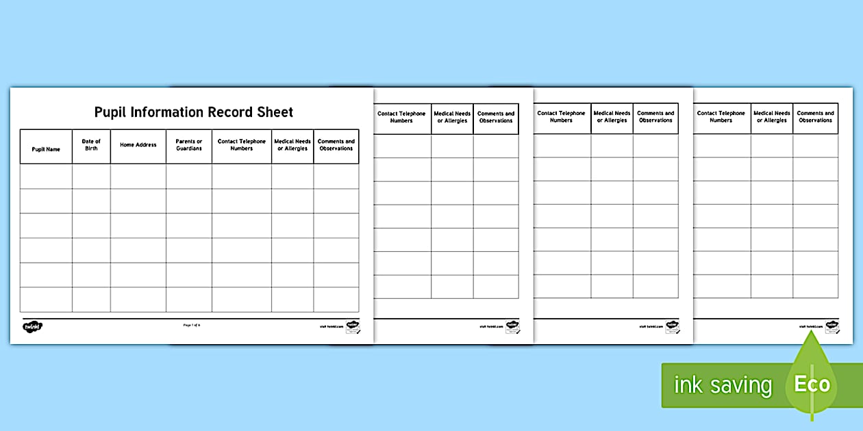 Pupil Information Record Checklist (teacher made) - Twinkl