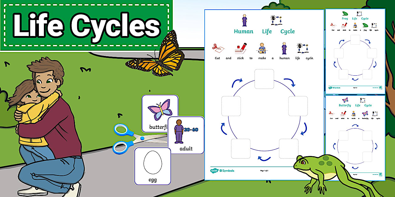 Twinkl Symbols: Life Cycles Cut and Stick Activity: Lesson 2