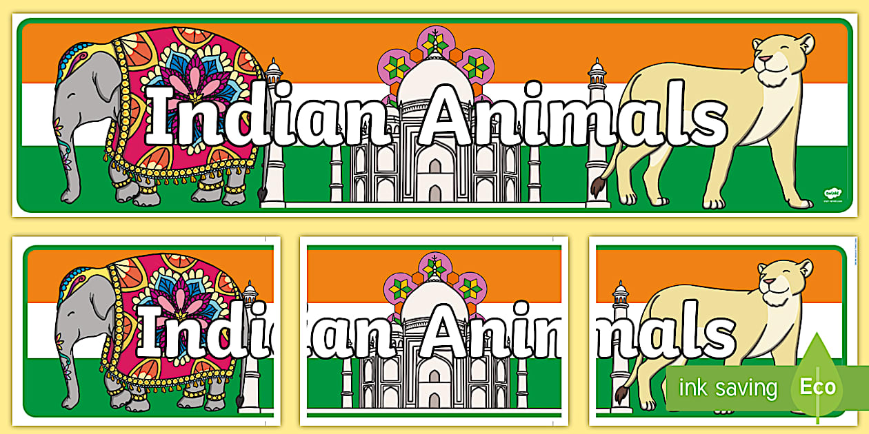 India-Themed Display Banner | KS1 Twinkl Primary Resources
