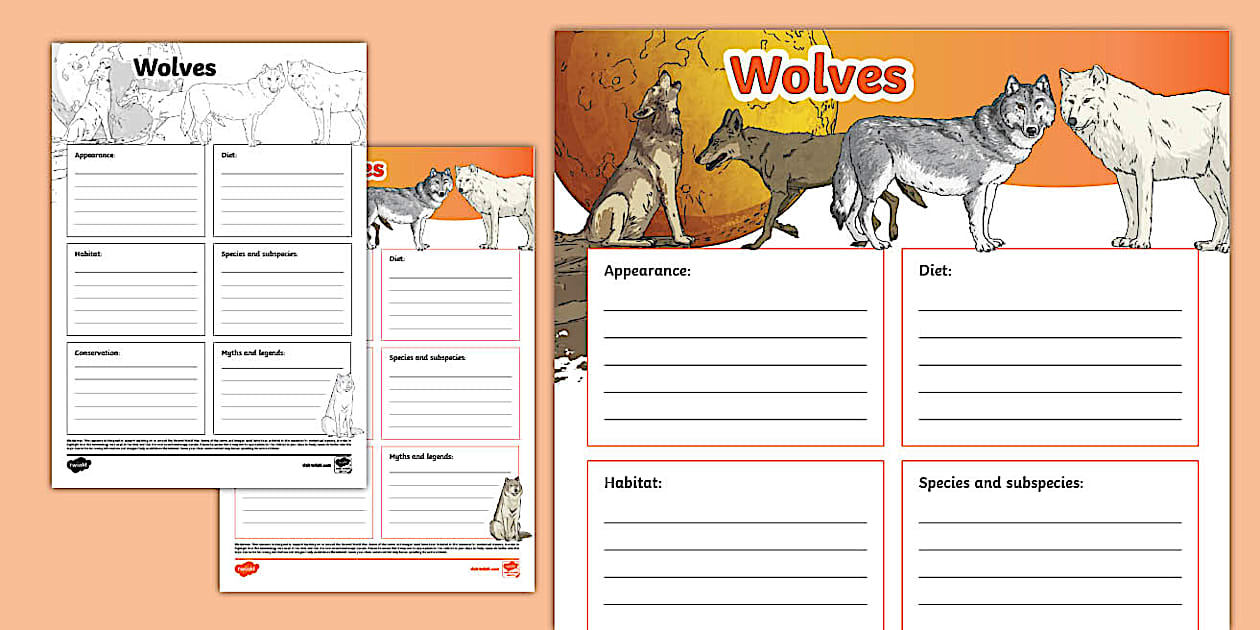 KS2 Wolves Fact File Template (Teacher-Made) - Twinkl