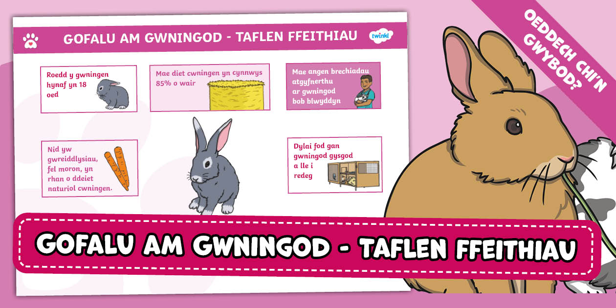 Gofalu am Gwningod - Taflen Ffeithiau