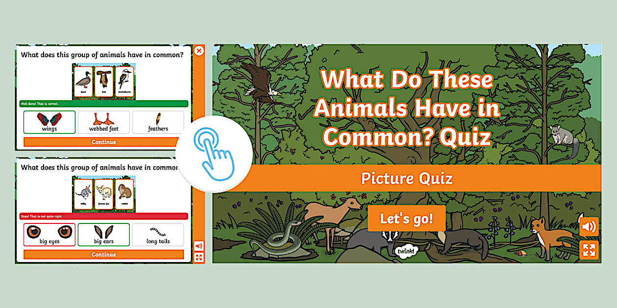 Grouping Animals Multiple Choice Quiz (professor feito)