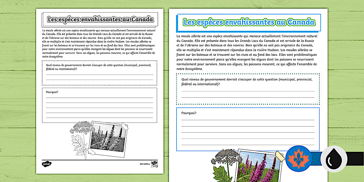 Invasive Species Writing Worksheet French (teacher made)