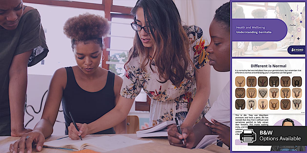 Understanding Human Genitalia Lesson Pack | Secondary RSE