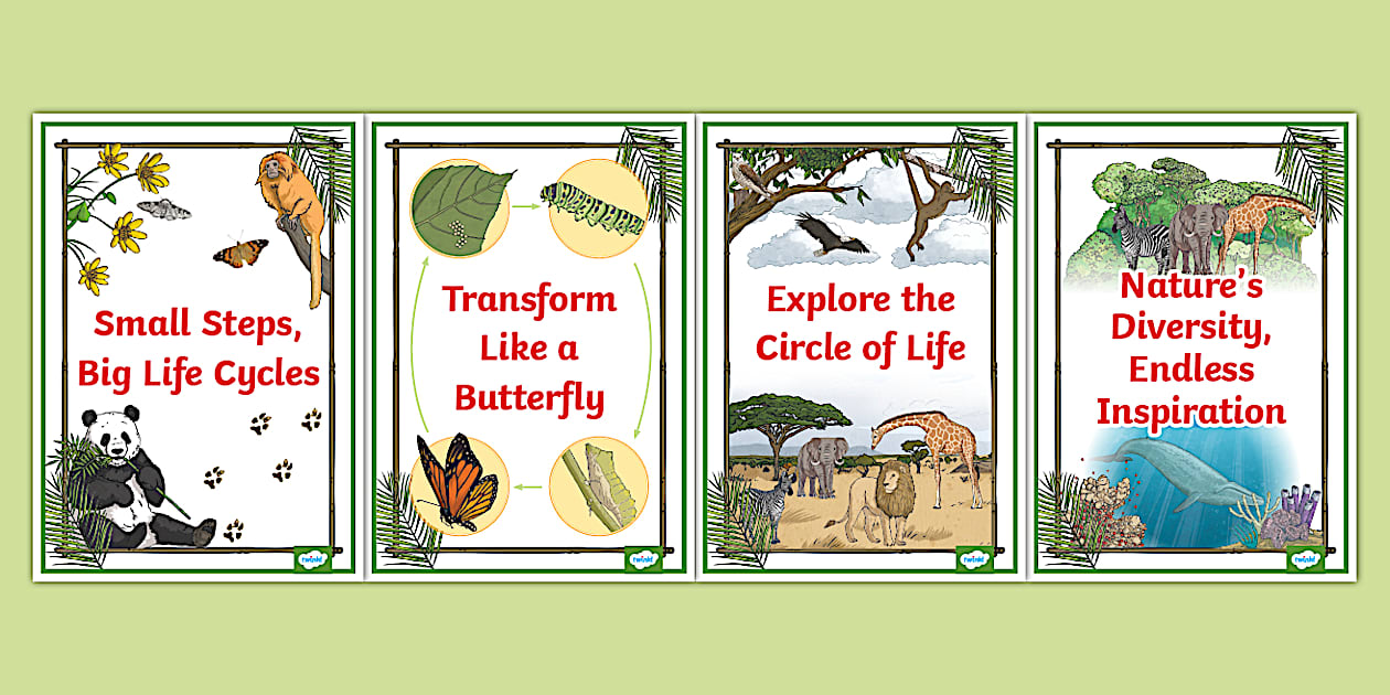 STEM Motivational Posters – Animal Lifecycle