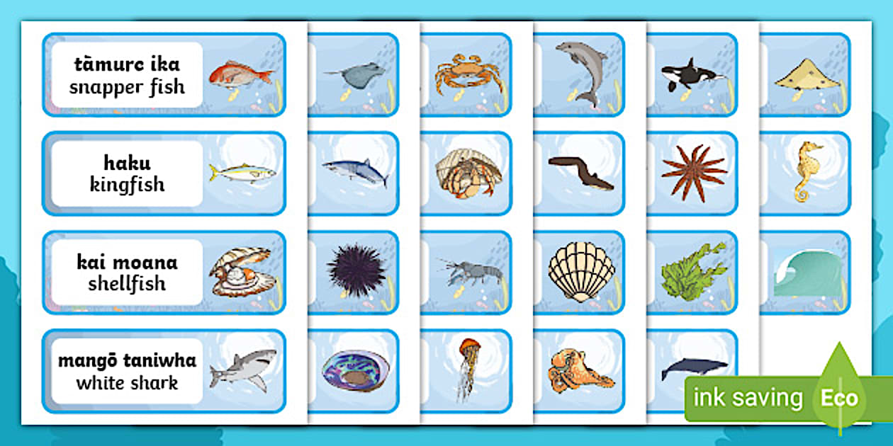 Editable Under the Sea Word Cards English/Te Reo Māori