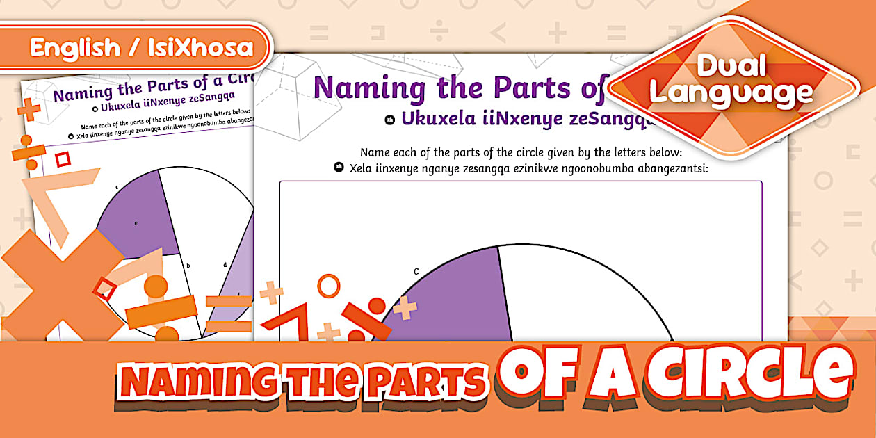 Grade 7 Maths - Term 2 - Naming the Parts of a Circle Activity Sheet