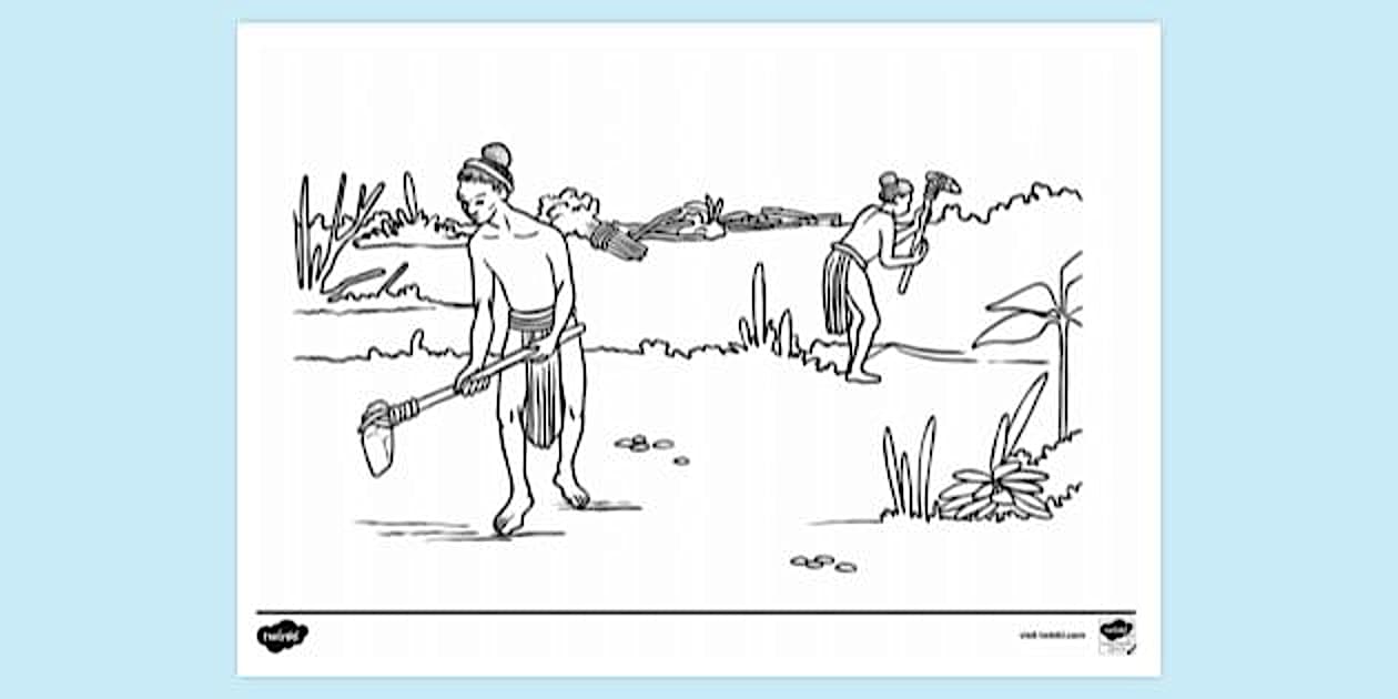 Maya Maize Farming Colouring Sheet | Twinkl (teacher made)