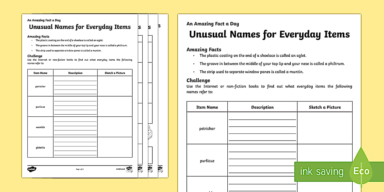 Unusual Names For Everyday Items Worksheet / Worksheet
