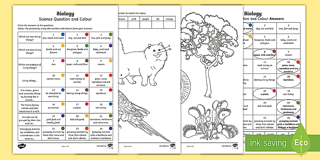 Year 3 Biological Science Questions and Colouring Worksheet