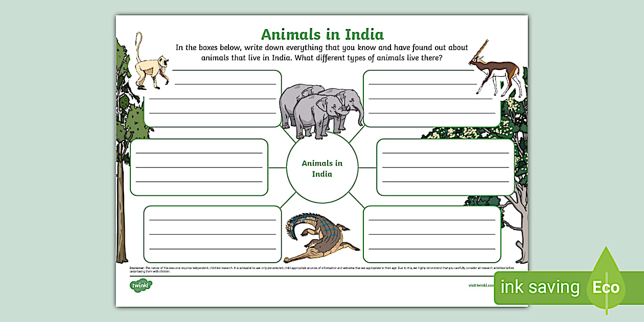 Animals in India Mind Map (teacher made) - Twinkl