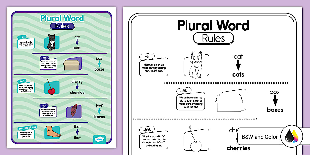 Plural Word Rules Visual Chart (teacher made) - Twinkl