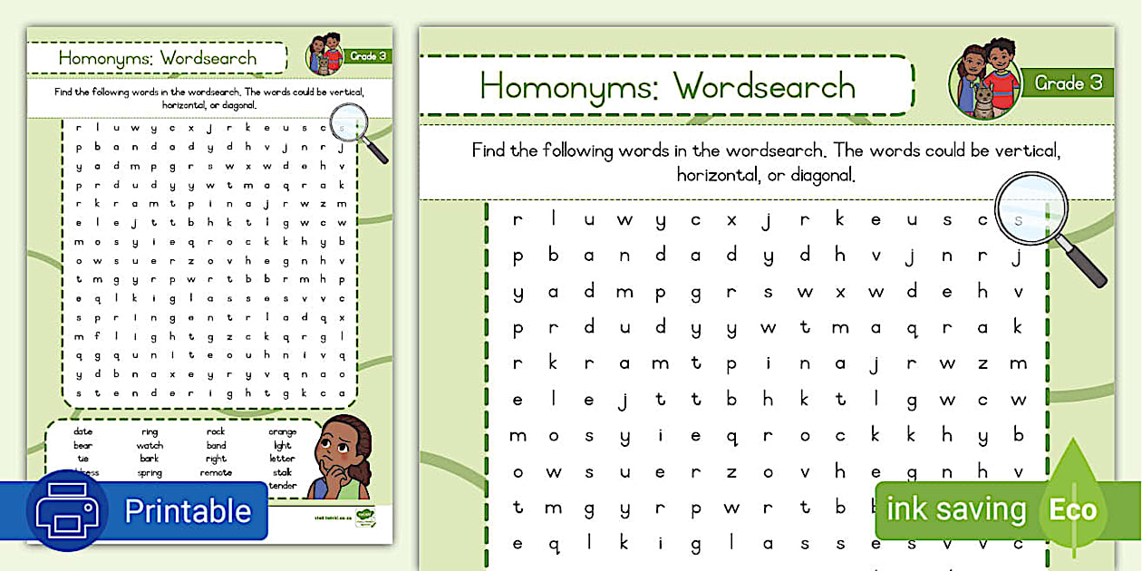 Grade 3 Phonics: Homonyms: Wordsearch (teacher made)