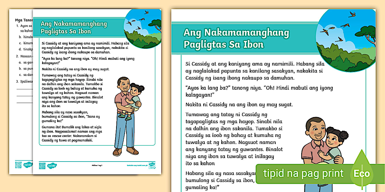 Pagbasa at Pag-unawa: Ang Nakamamanghang Pagligtas Sa Ibon | Twinkl