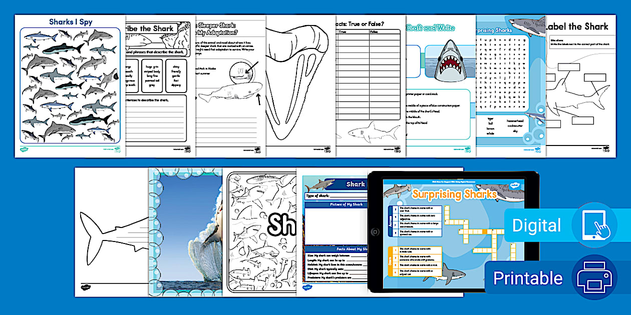 Shark Worksheets PDF Pack for K-2nd Grade | Twinkl USA