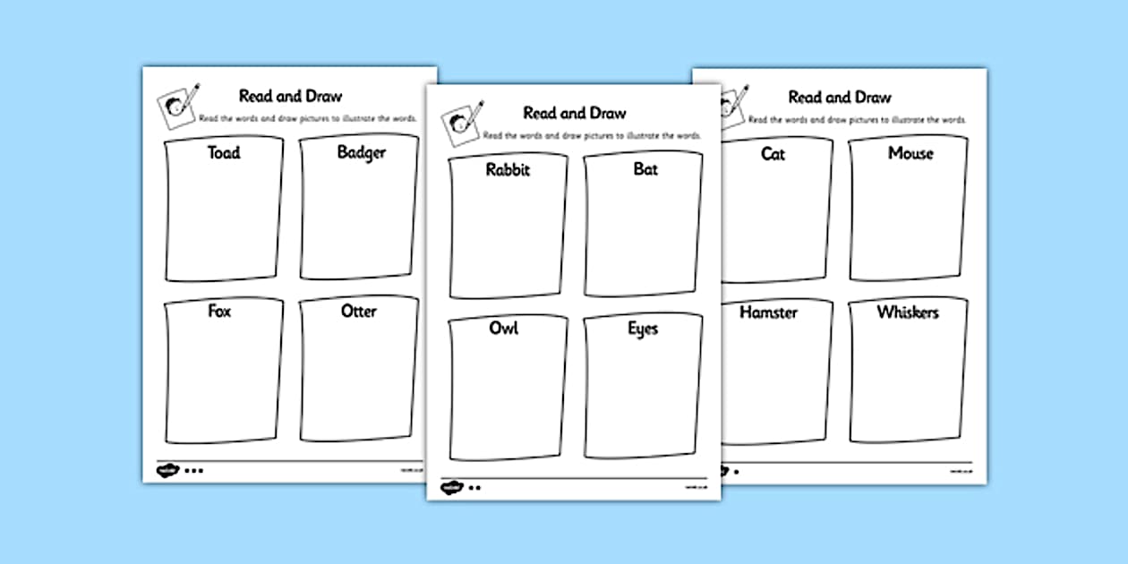 Editable Nocturnal Animals Read and Draw Worksheet - Twinkl