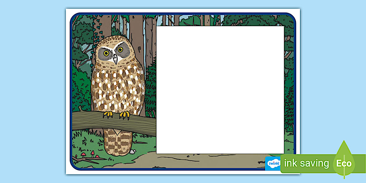 Owl Photo Frame (Teacher-Made) - Twinkl