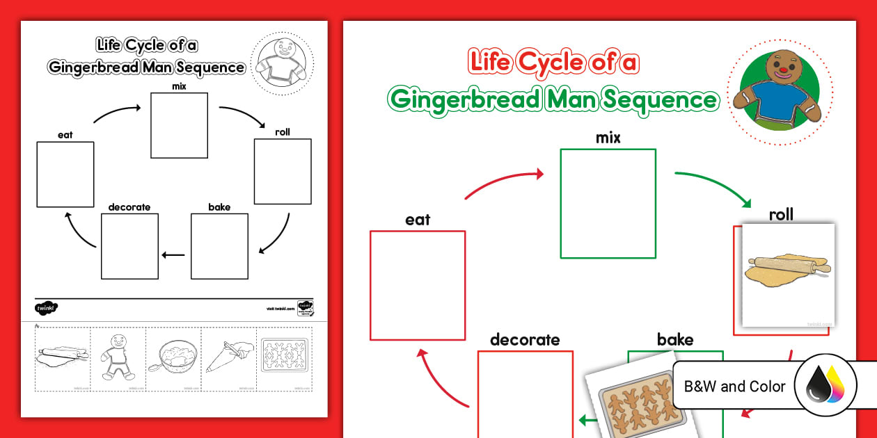 Life Cycle of a Gingerbread Man Sequence Cut and Paste Activity Worksheet