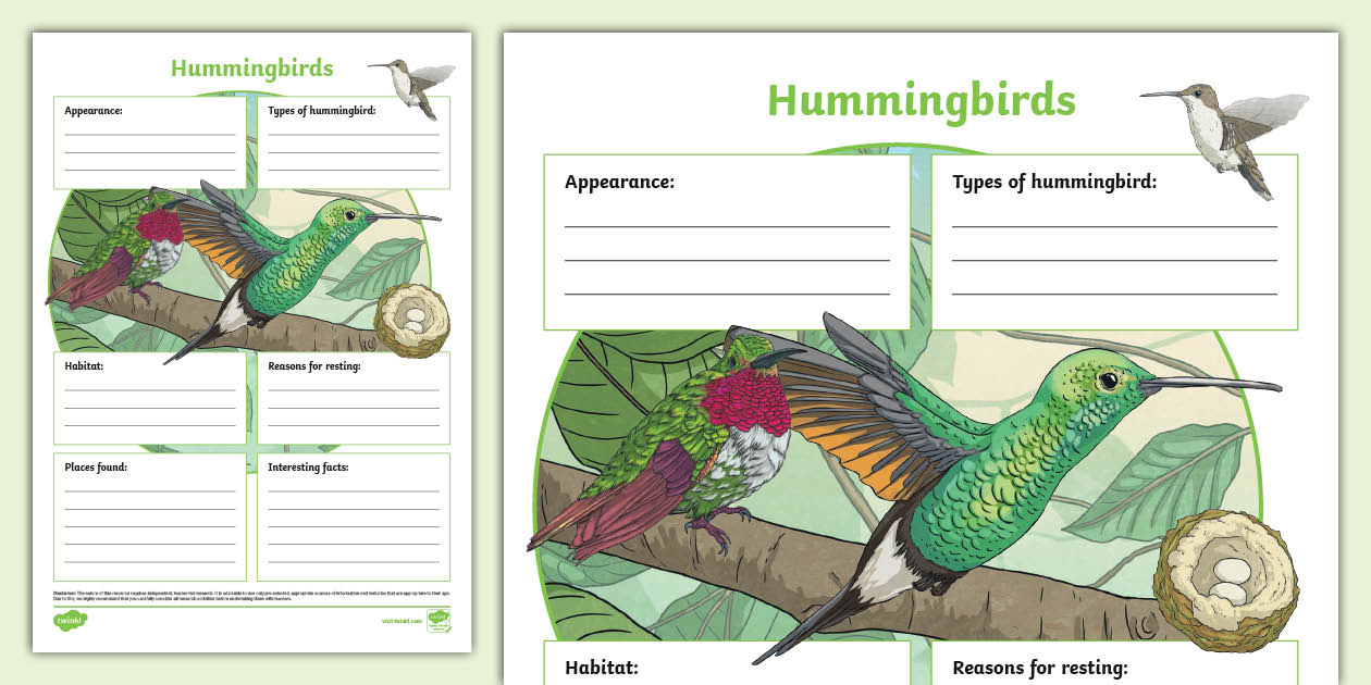 Hummingbirds Fact File Template (teacher made) - Twinkl