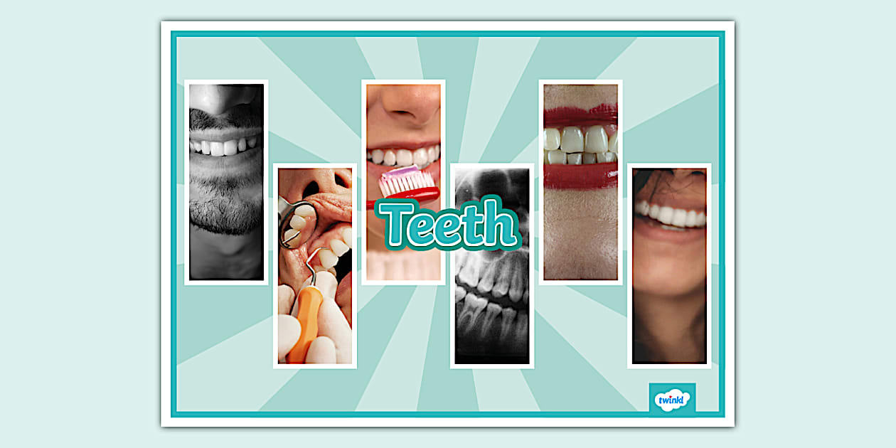 Teeth Photo Display Banner (teacher made) - Twinkl