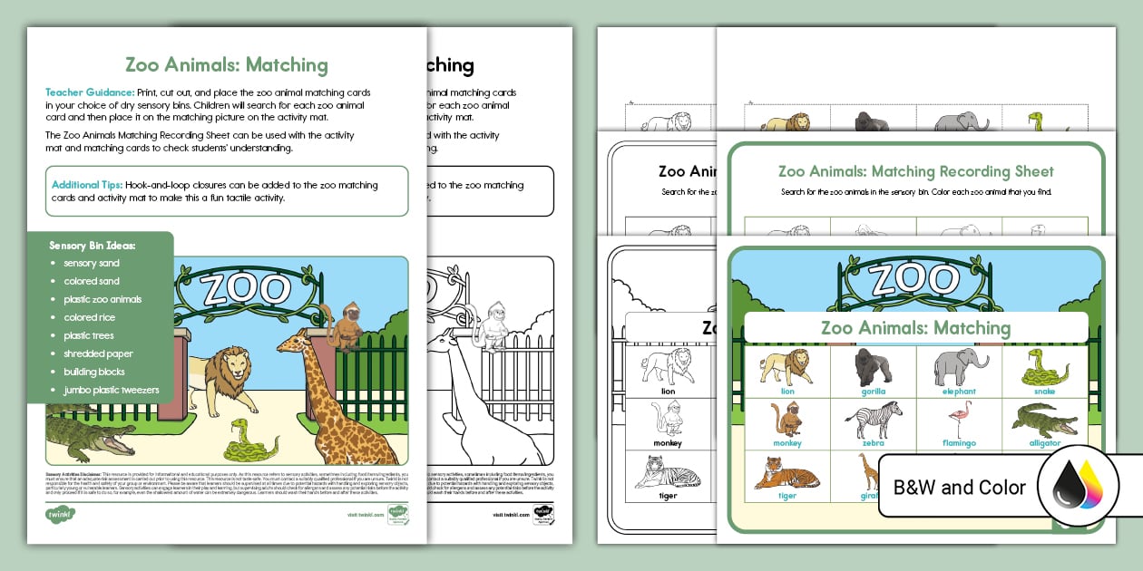 Zoo Animals Sensory Bin Matching Activity Mat (Teacher-Made)