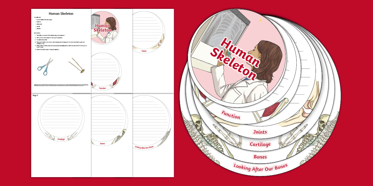 Human Skeleton Circles Booklet - Twinkl Science - Twinkl