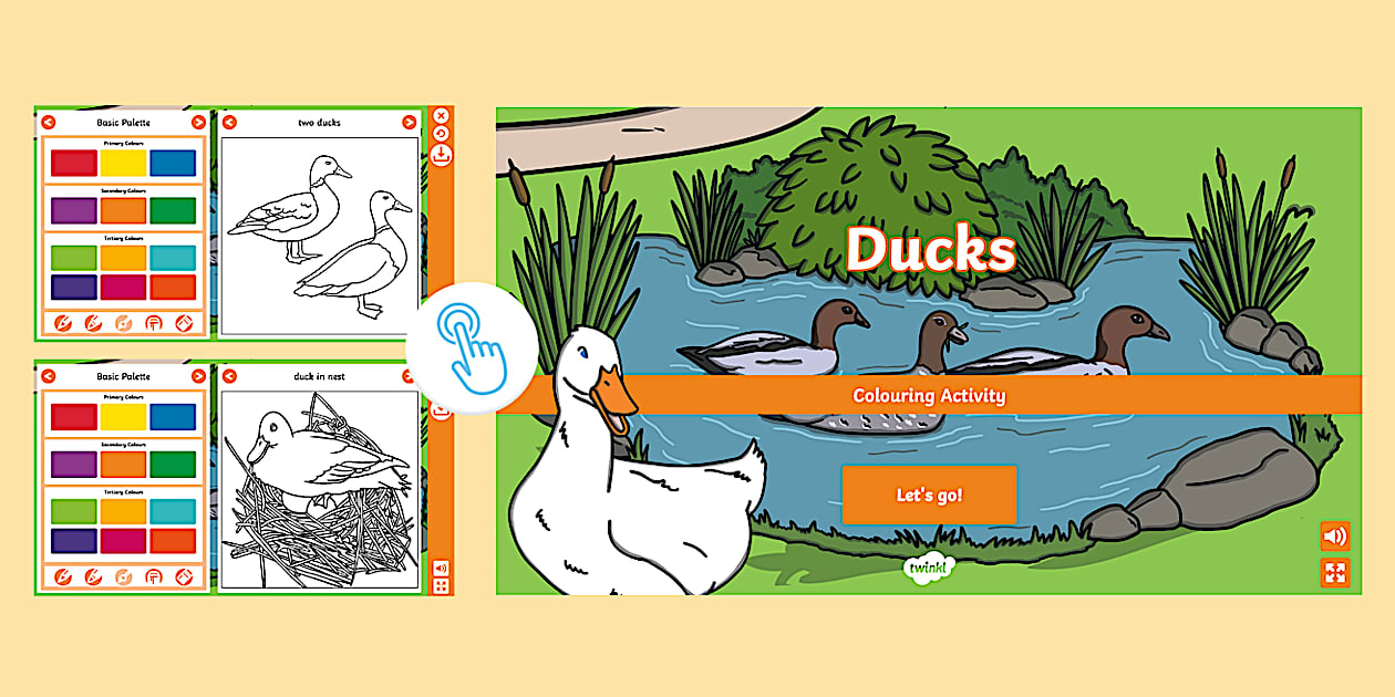 Interactive Duck Colouring (teacher made) - Twinkl