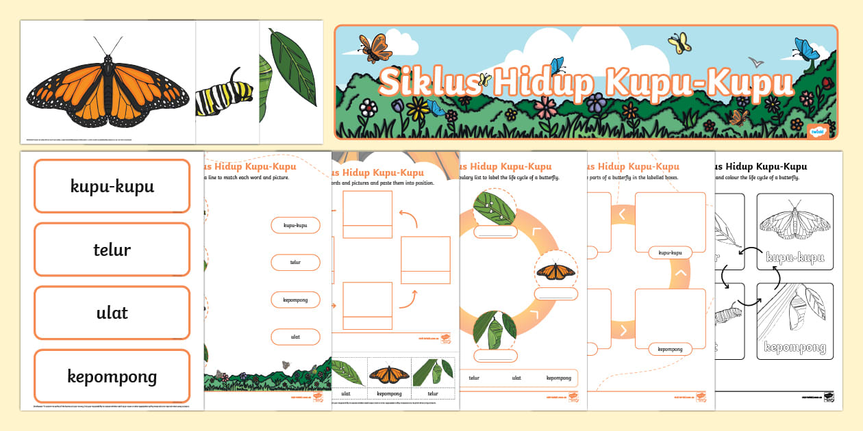 Butterfly Life Cycle Resource Pack - Indonesian