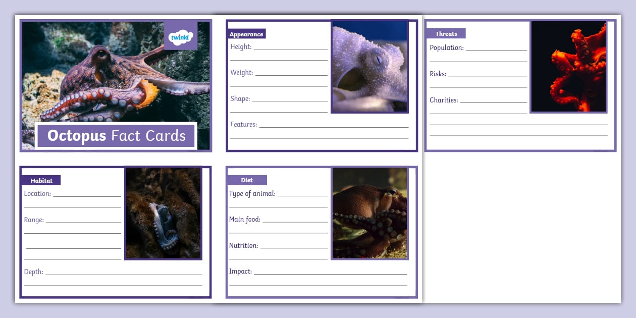 Octopus Fact Cards Template - Twinkl Fact Cards - Twinkl