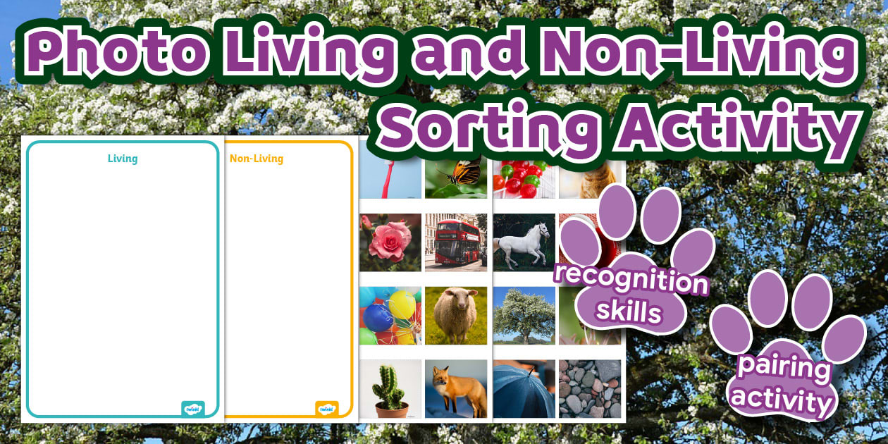 Living and Non-living Sorting Cards - Primary Resources