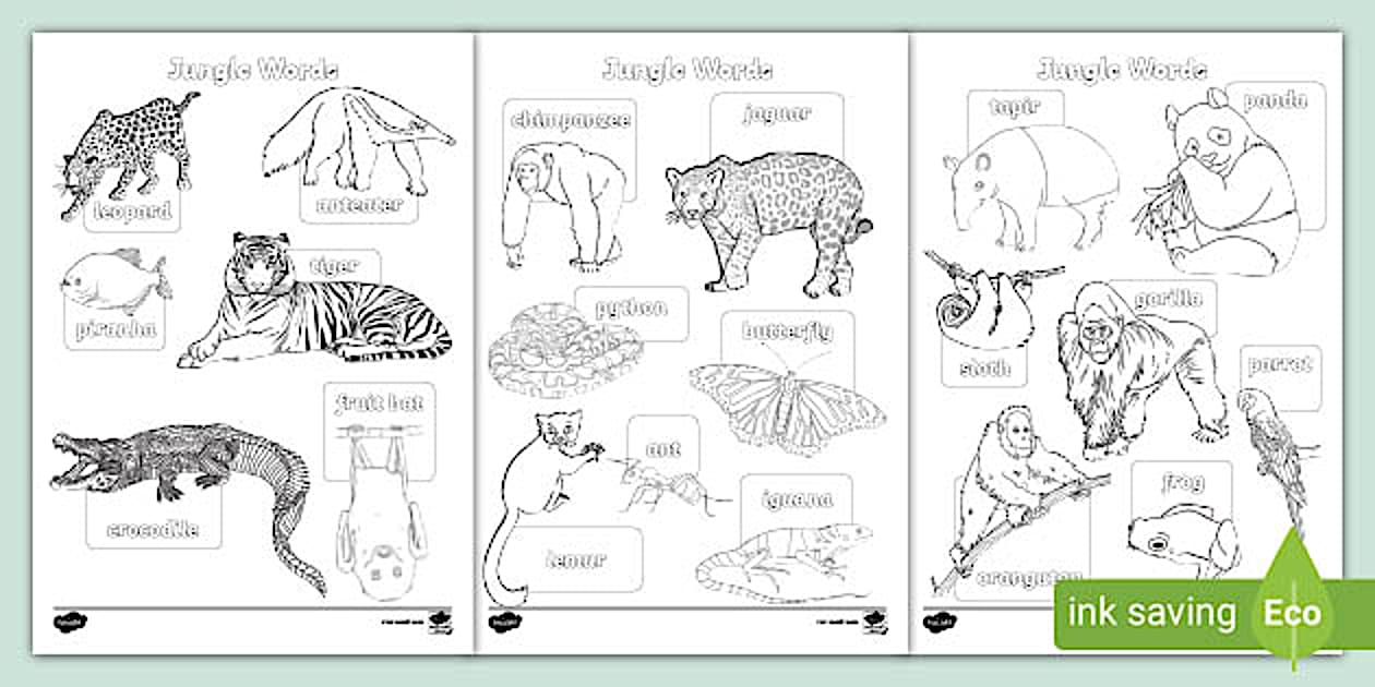 Jungle Words Colouring Sheets - ESL Vocabulary Colouring