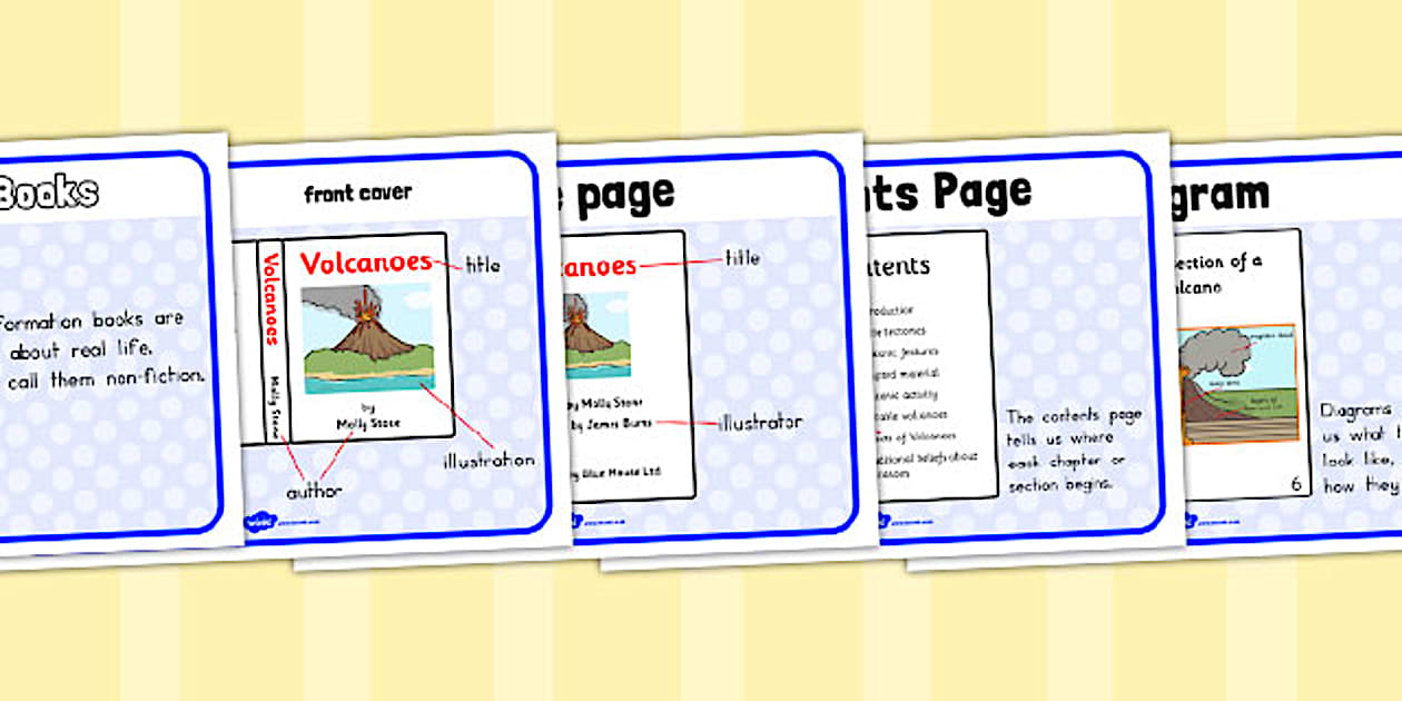 Information Book Display Posters (teacher made) - Twinkl