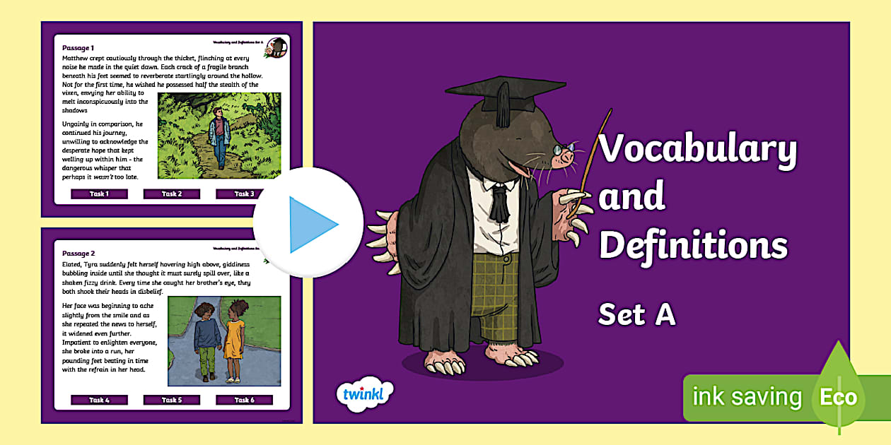 Vocabulary and Definitions Set A PowerPoint (Teacher-Made)